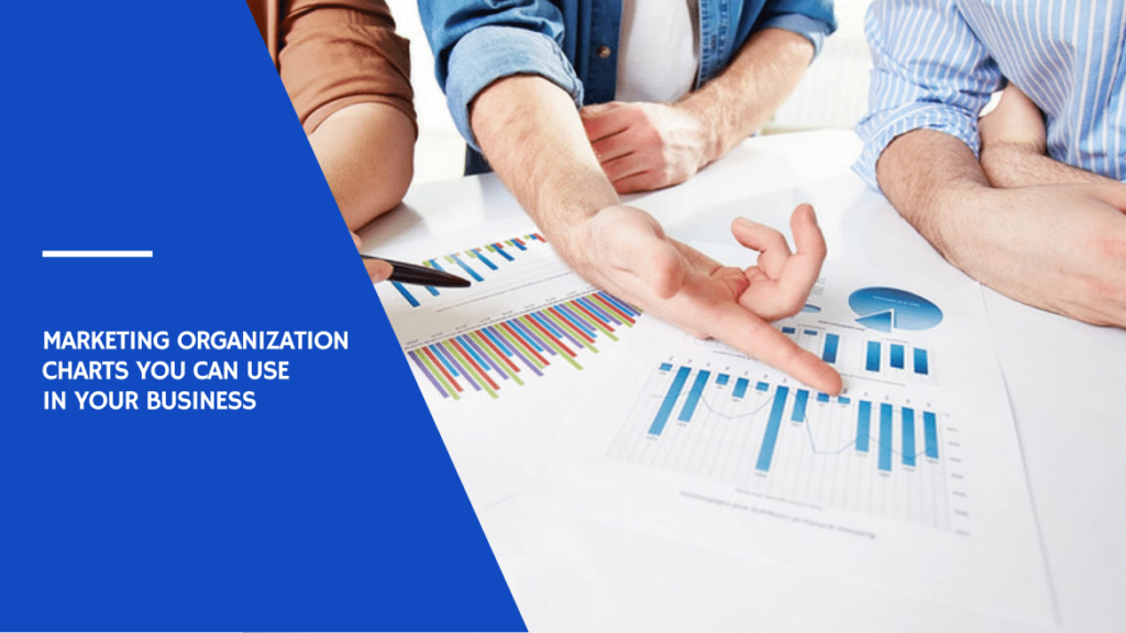 The 7 Most Efficient Types of Marketing Organizational Structures